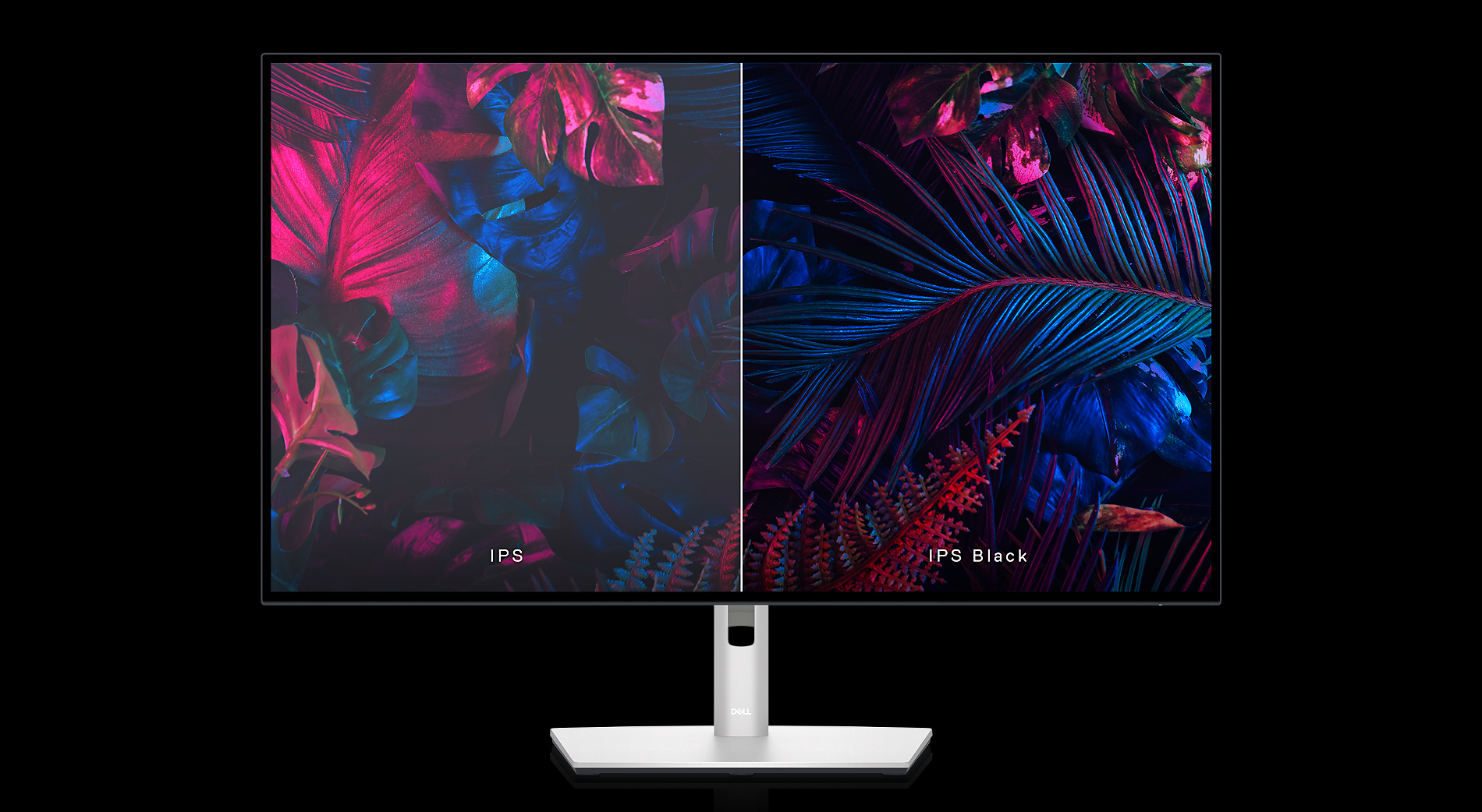 Dell UltraSharp U2723QE (210-BCXK) - Monitor - Morele.net