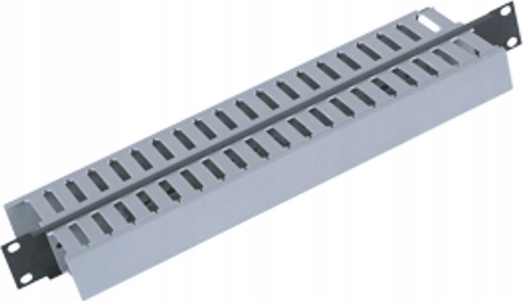 Triton 19" panel 1U with 2x cable trunking - Morele.net