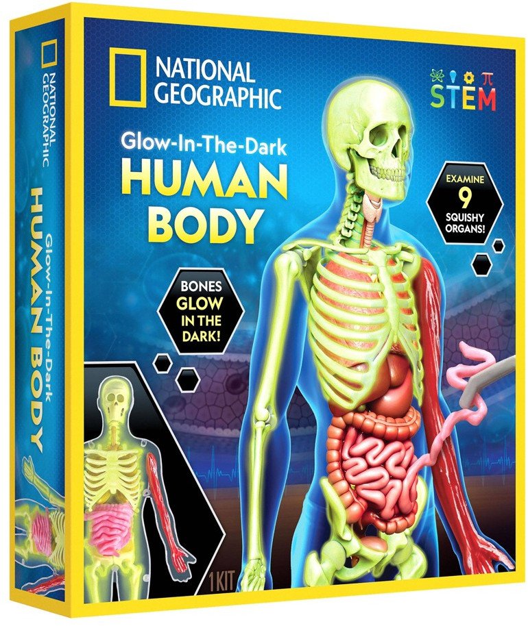 National Geographic National Geographic Human Body Science Kit - Morele.net