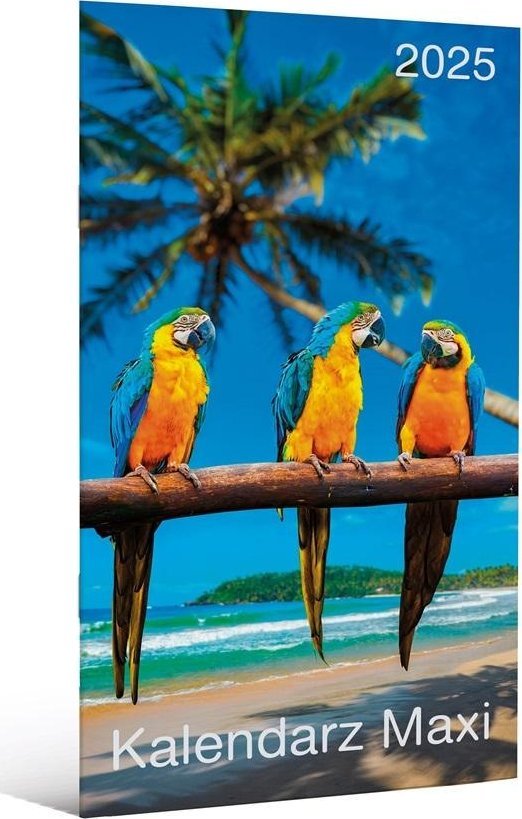 Kalpol Kalendarz 2025 kiesoznkowy Maxi MIX - Morele.net