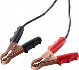 AEG Prostownik Warsztatowy AEG WM10 z Mikroprocesorem 6V/12V, 10A ...