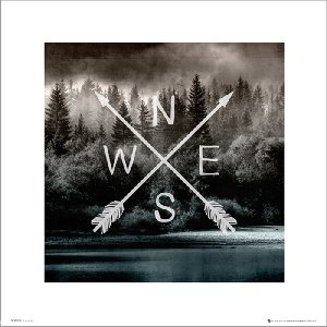 Art-Pol Arrows North - plakat premium 40x40 cm - Morele.net