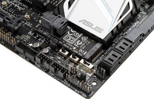 ASRock Adapter U.2 Kit, M.2 do U.2 (mini-SAS/SFF-8639) (90-CXG5A0 ...